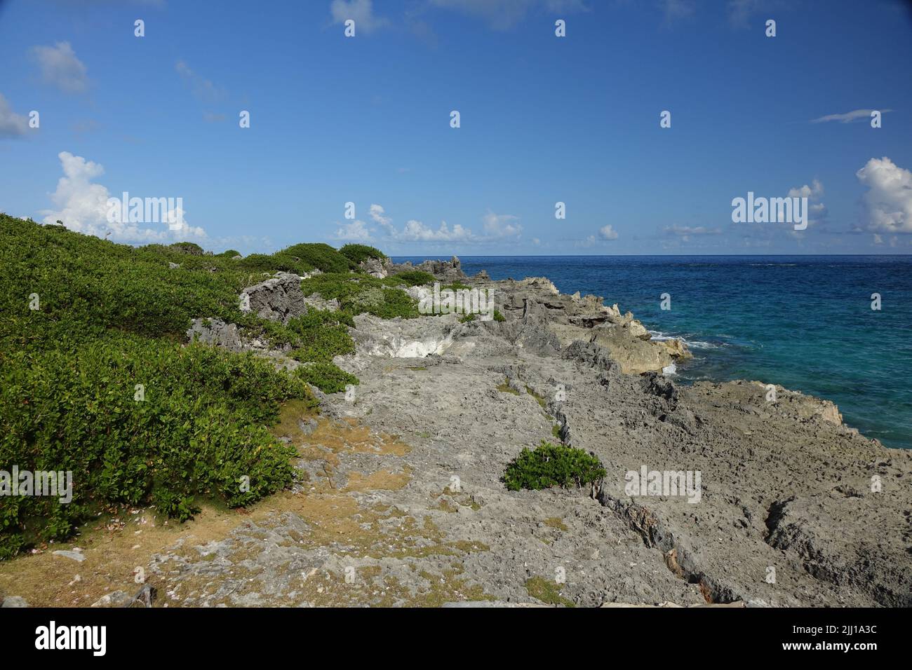 Paget island hi-res stock photography and images - Alamy