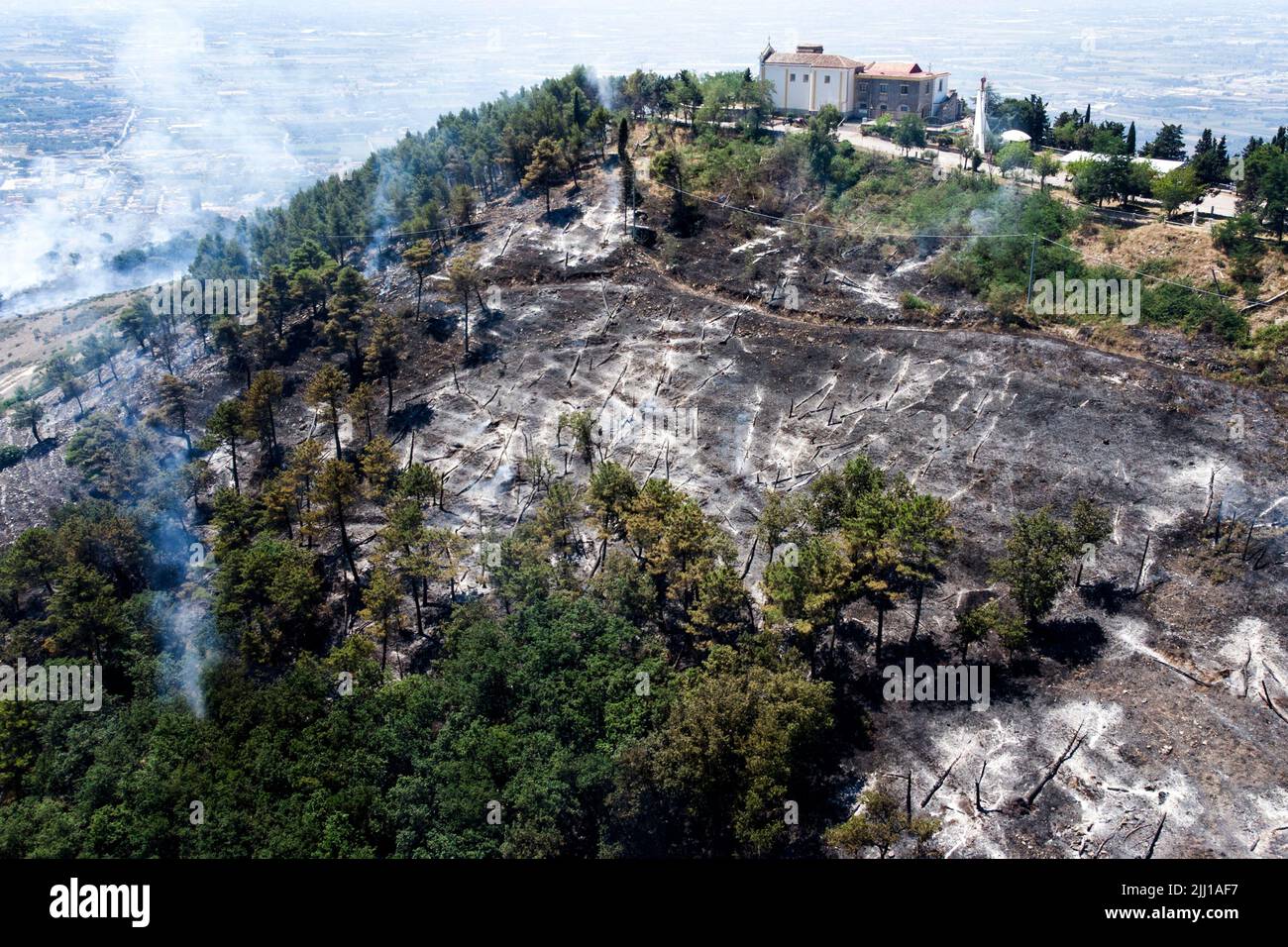Vegetation destroyed and trees burned around the sanctuary of San ...