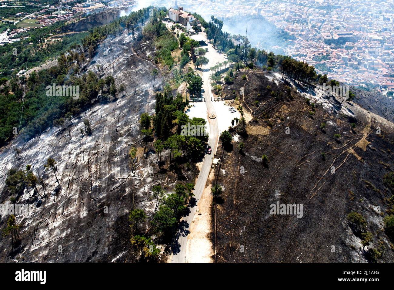 Vegetation destroyed and trees burned around the sanctuary of San ...