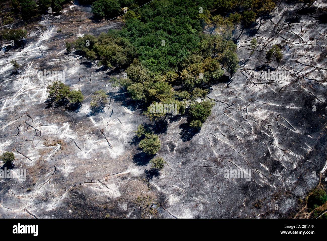 Vegetation destroyed and trees burned by the vast fire that hit the ...