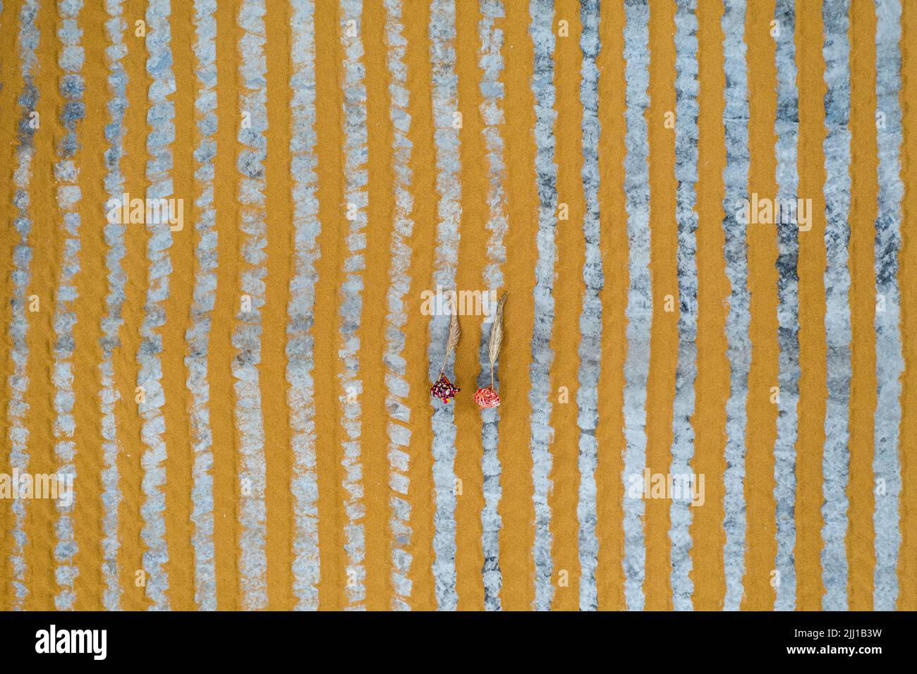 Farmer grains in hands on hi-res stock photography and images - Alamy