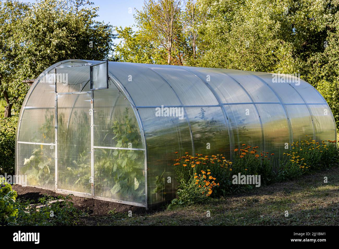 greenhouse with open door stands in the garden. High quality photo ...