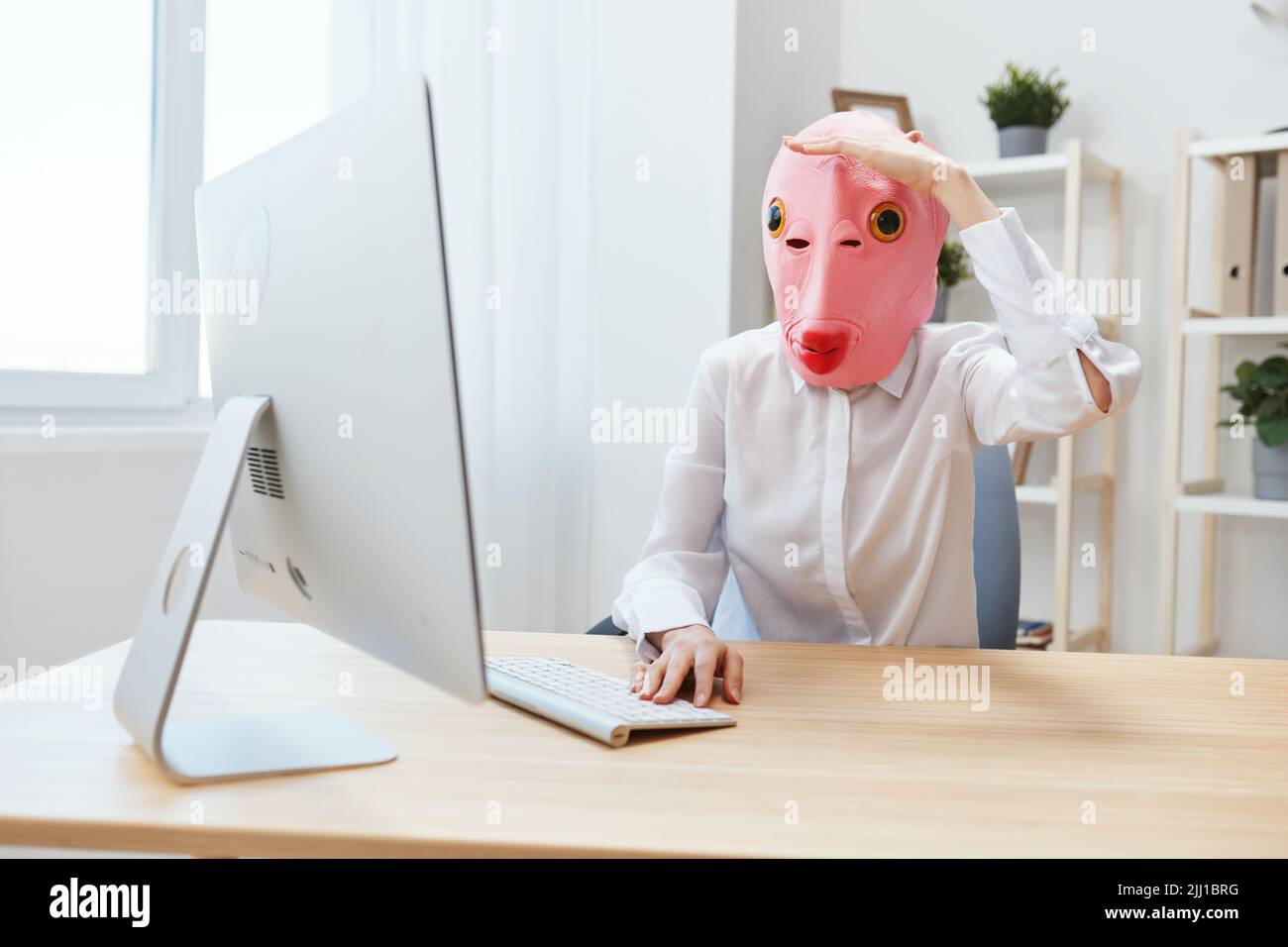 Data analyst funny hi-res stock photography and images - Alamy
