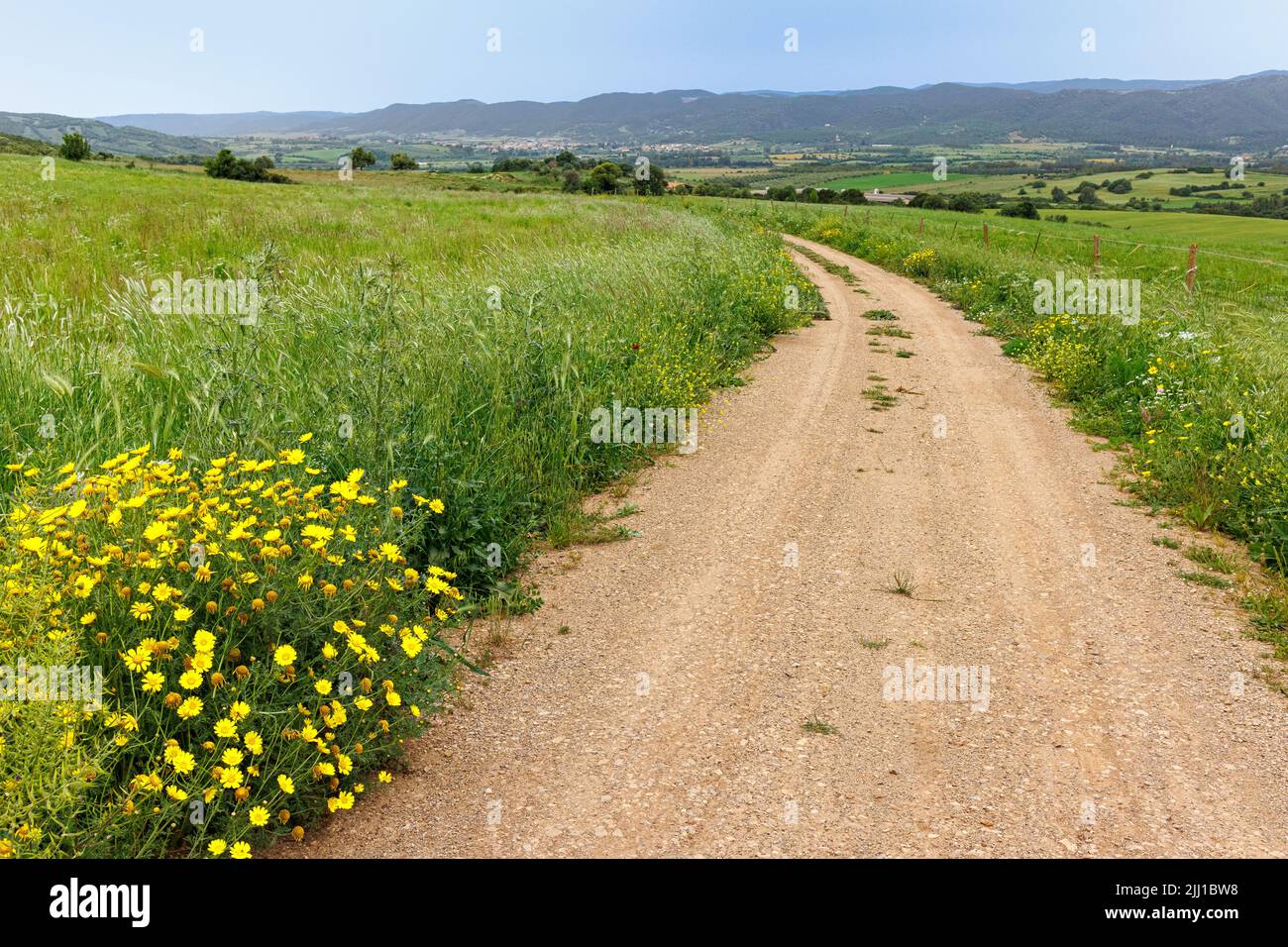 The abundance of flowers in the vast meadows of Sardinia island, Italy ...