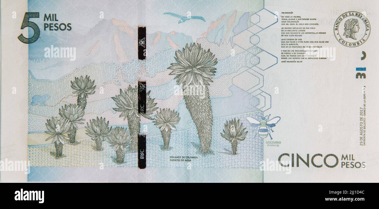 A Colombian money, five thousand pesos on white background. Business ...