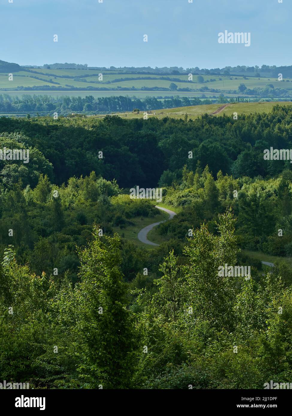 A winding, serpentine path through hilly, verdant woodland in ...