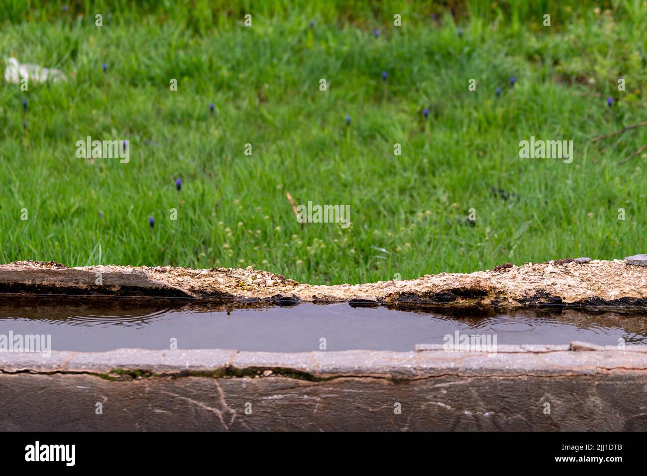 Old livestock water trough hi-res stock photography and images - Alamy