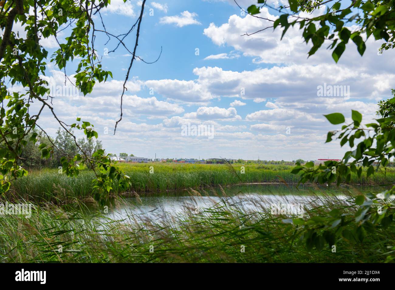 Reeds and hiking hi-res stock photography and images - Alamy