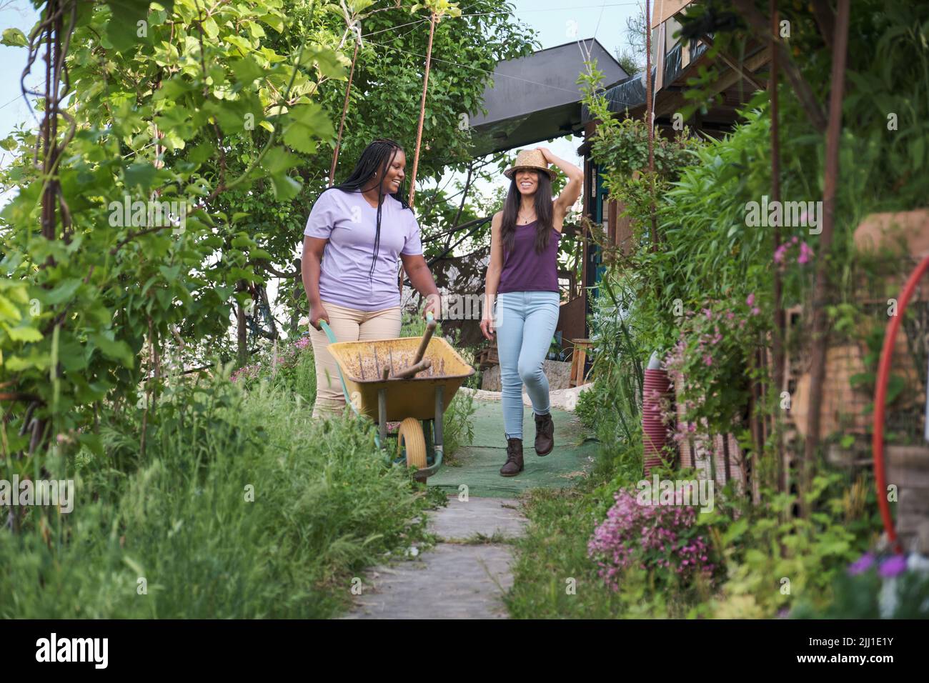 Two friends carrying a wheelbarrow and garden tools in urban garden ...