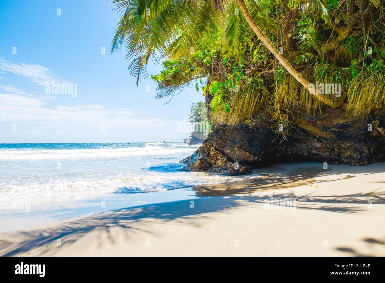 A view of a paradise beach under the coconut trees in Blanchisseuse ...