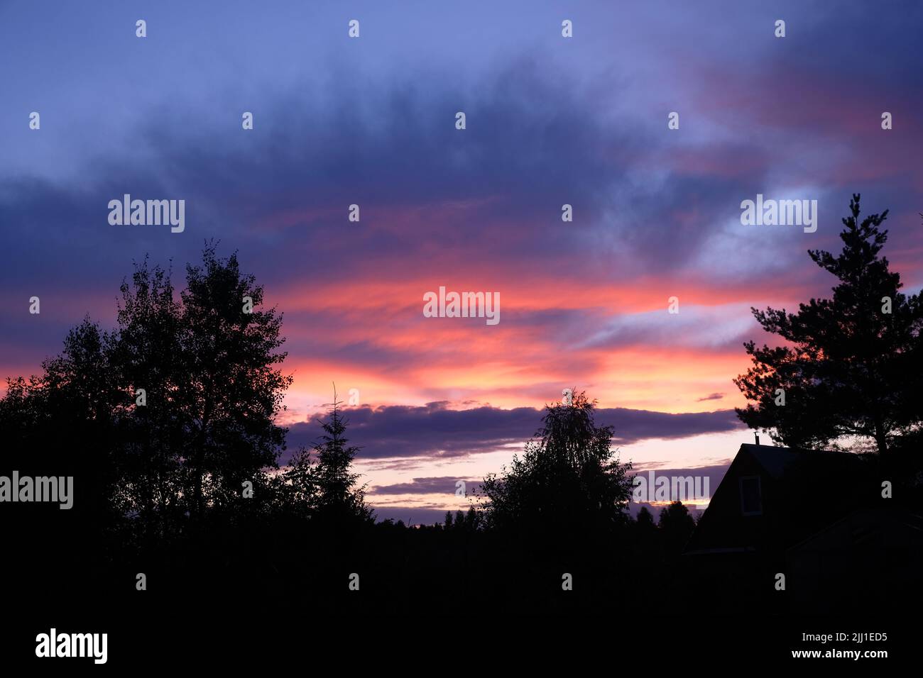 Beautiful rural sunset with dramatic colors behind trees silhouettes in ...