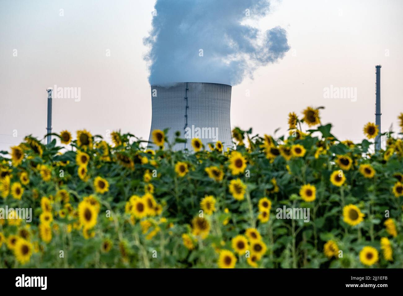 German isar 2 nuclear power plant hi-res stock photography and images - Alamy