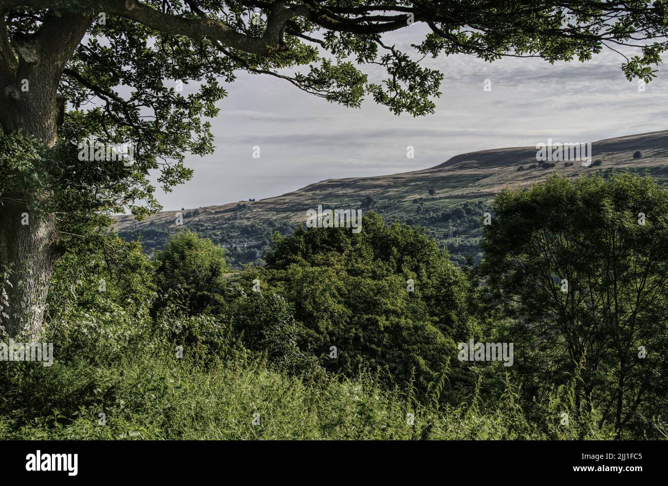 southern Wales hills through a tree Stock Photo - Alamy