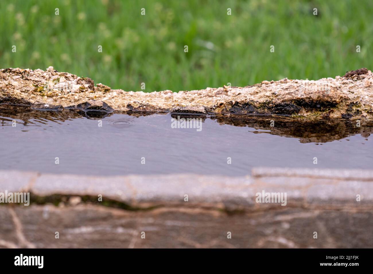 Selective focus shot of old and broken animal trough Stock Photo - Alamy