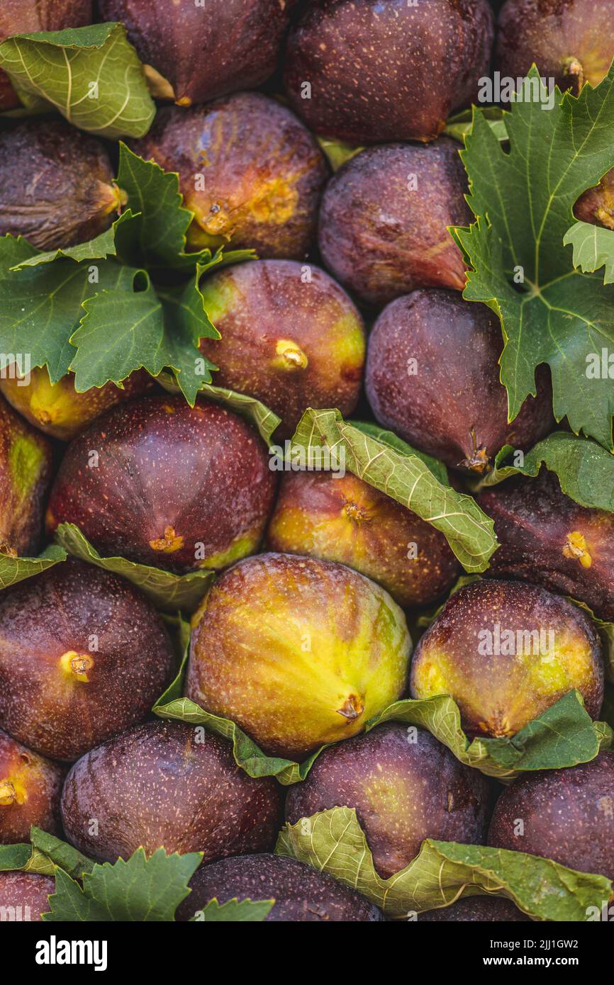 Fresh delicious figs with green leaves in a box in a street food market ...