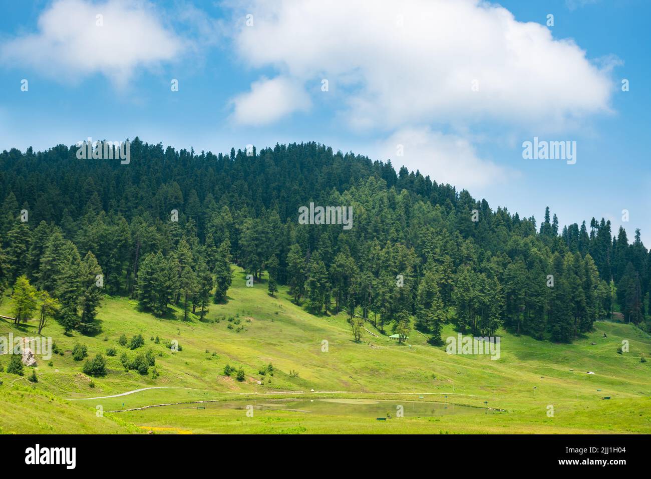 Summer in the Himalayas. Scenic beauty of Gulmarg, the heaven on earth ...