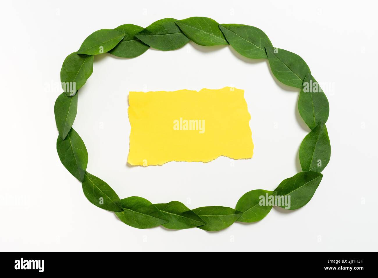 Blank Paper Placed Between Fresh Wreath Made Of Leaves For Layout Of ...