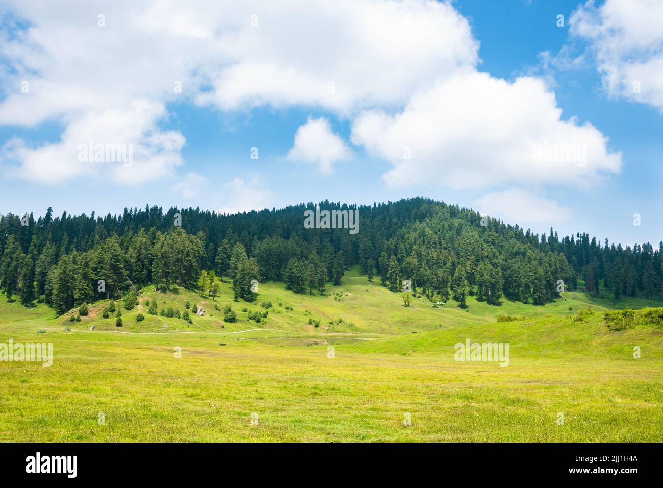 Summer in the Himalayas. Scenic beauty of Gulmarg, the heaven on earth ...