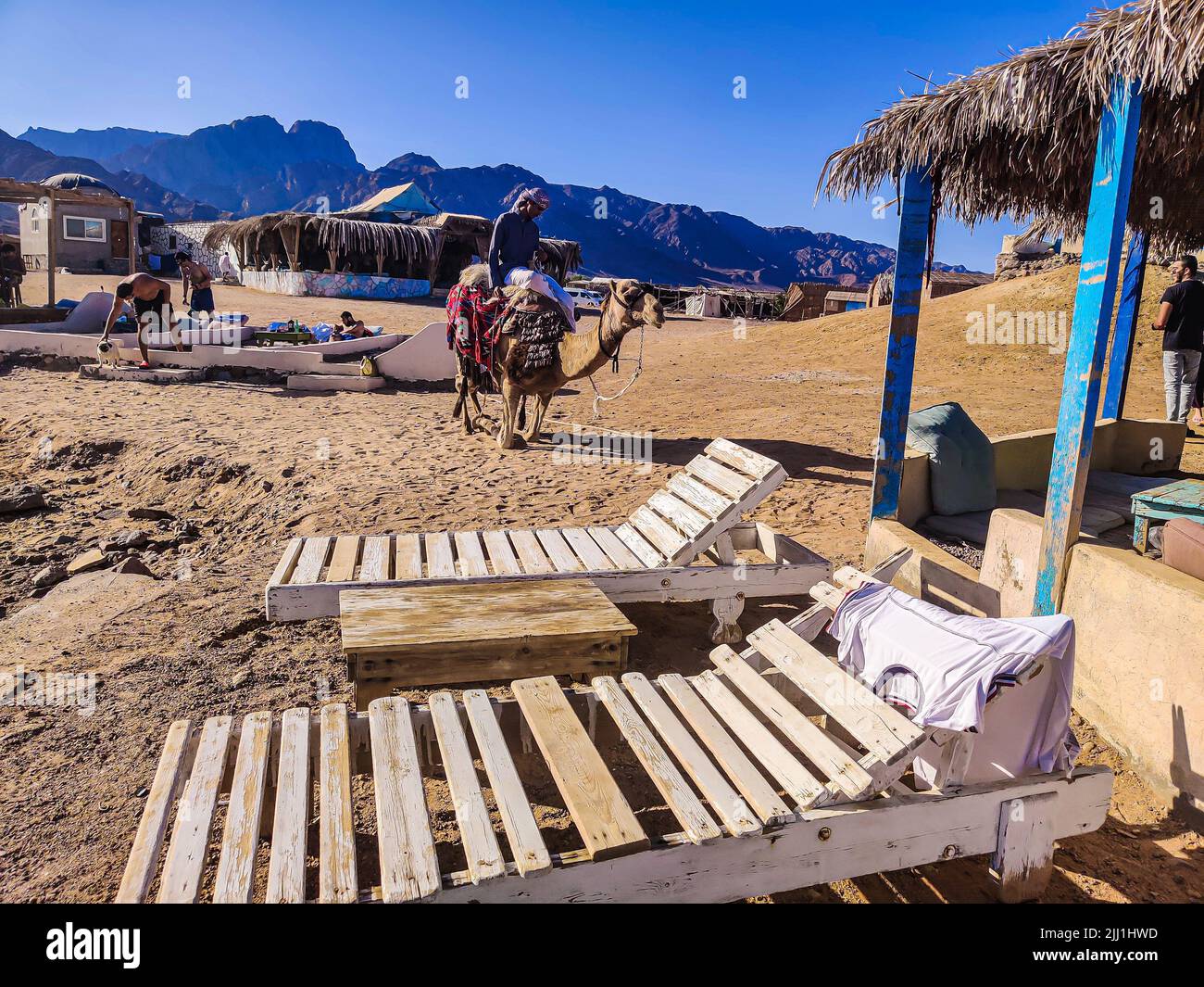 Bedouin Man standing beside his Camel on the seashore of Rashitan ...