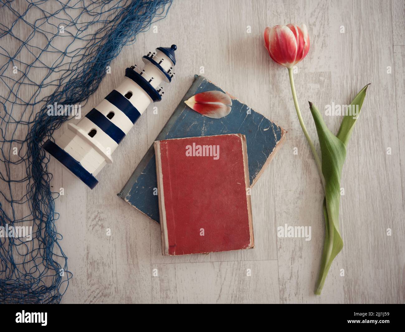 Flat still life, top view with a tulip Stock Photo - Alamy