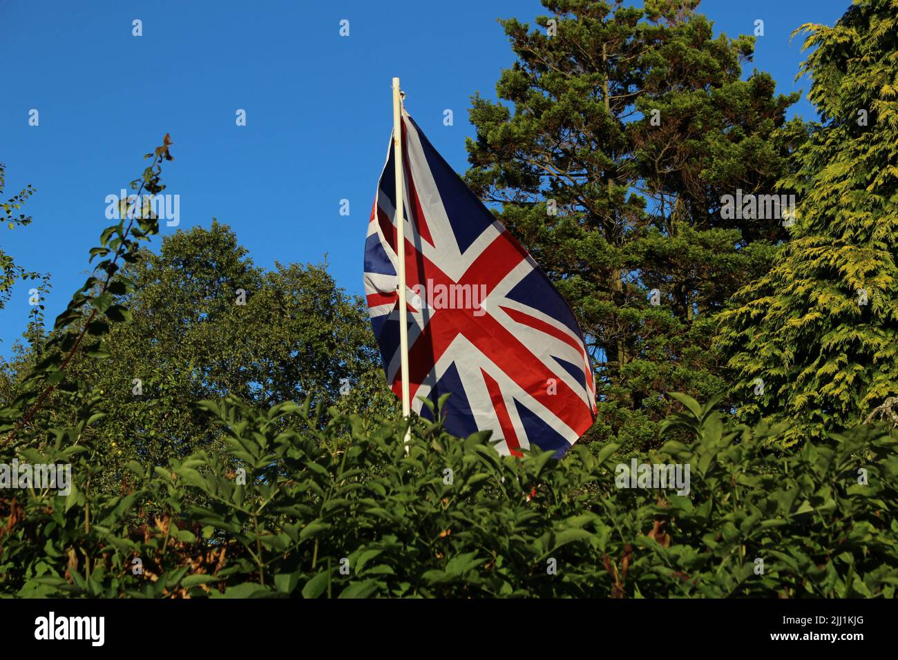 Union jack flying outdoors in the sun on a clear blue day amongst green ...