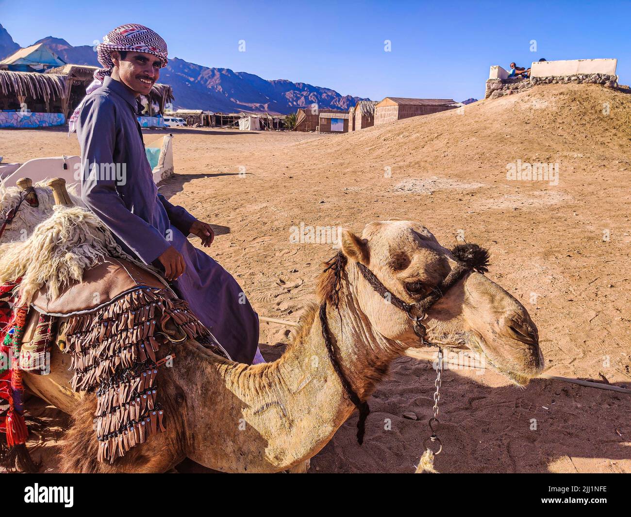 Bedouin Man standing beside his Camel on the seashore of Rashitan ...