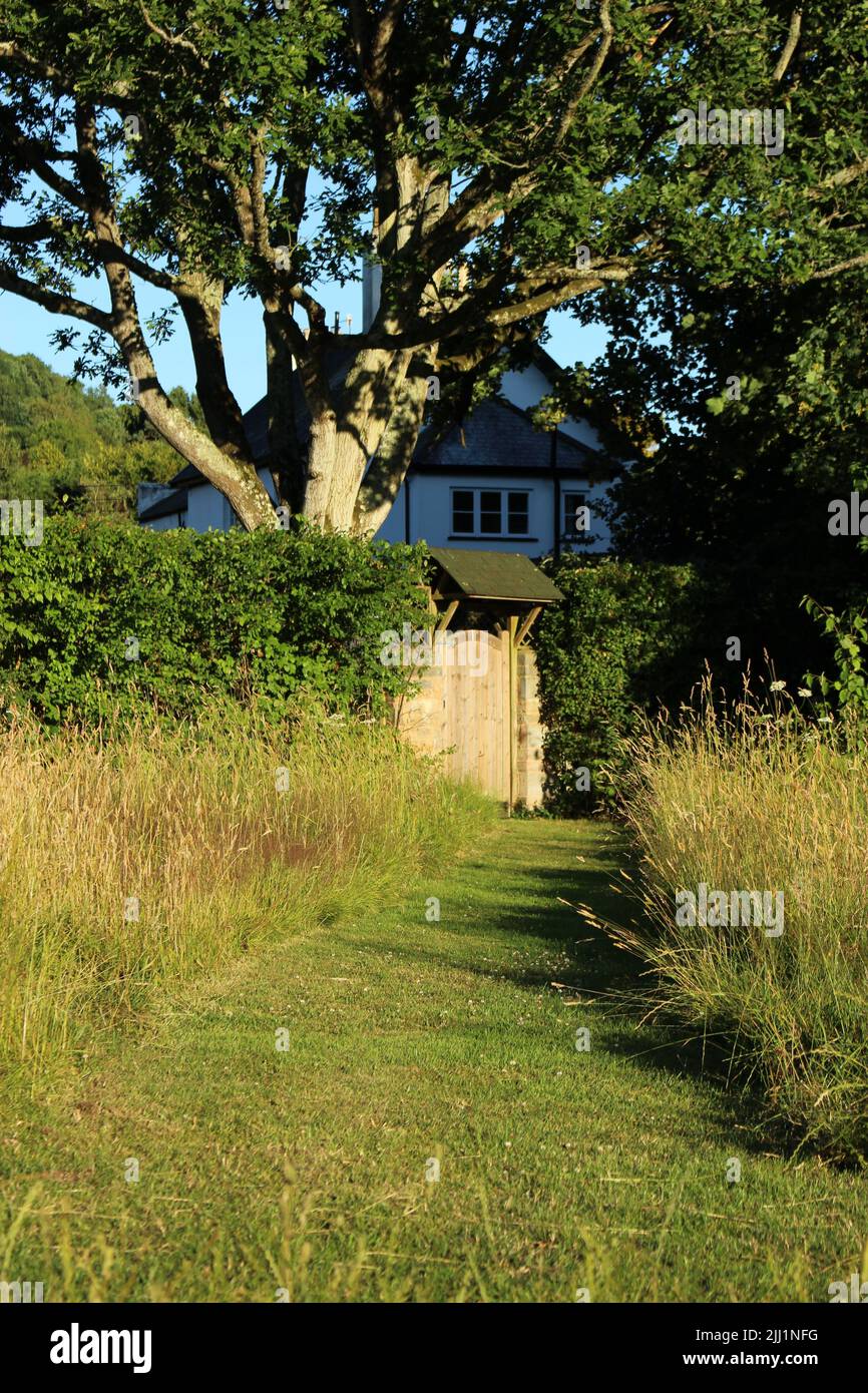 Grassy path through meadow leading to a wooden doorway in the green ...