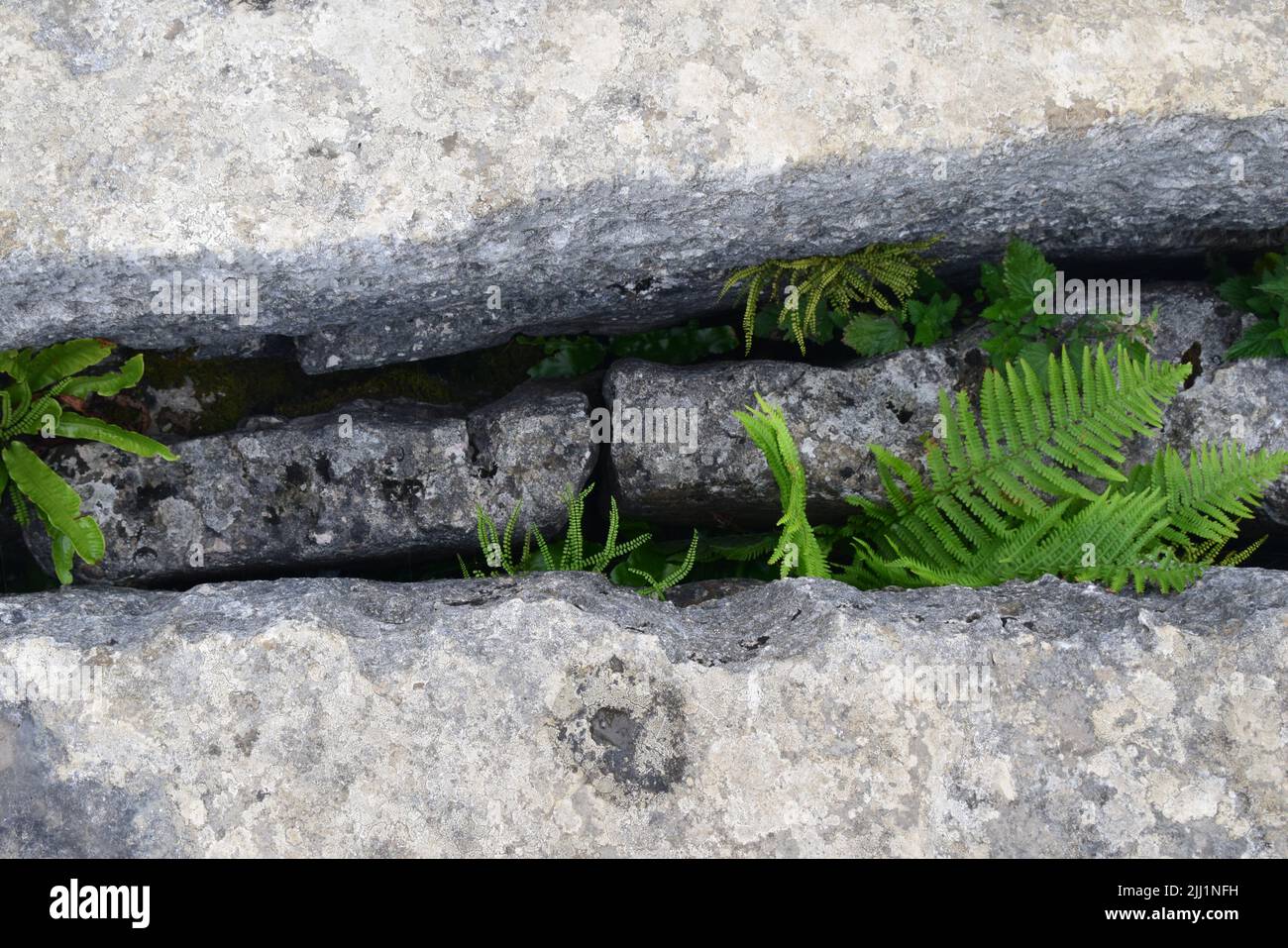 Geological wonder in the Yorkshire dales ,Malham cove and surrounding ...