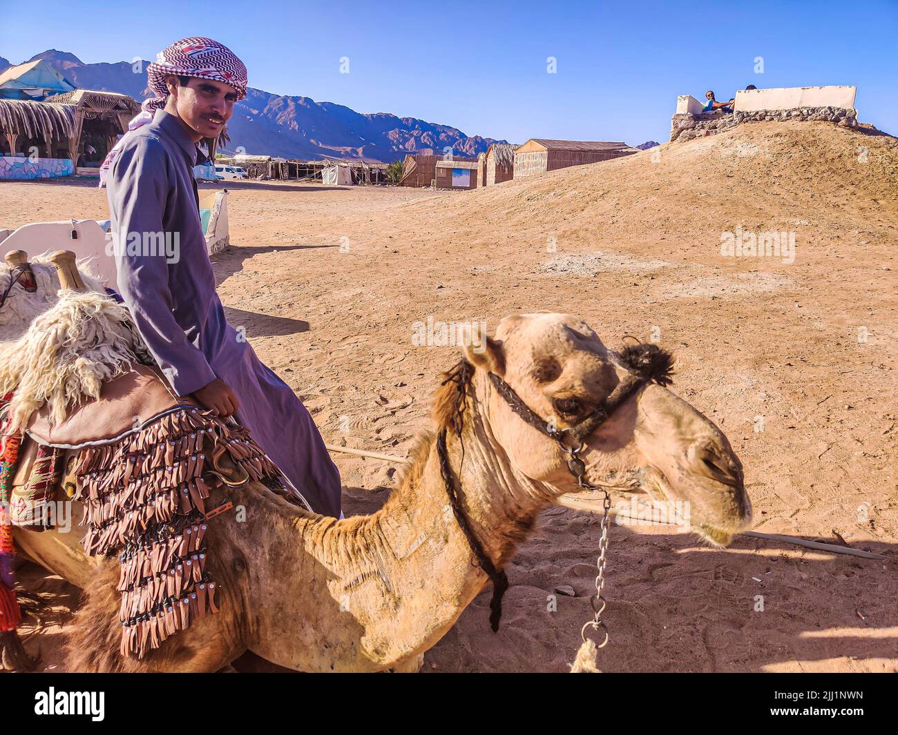 Bedouin Man standing beside his Camel on the seashore of Rashitan, Sinai, Egypt Stock Photo - Alamy