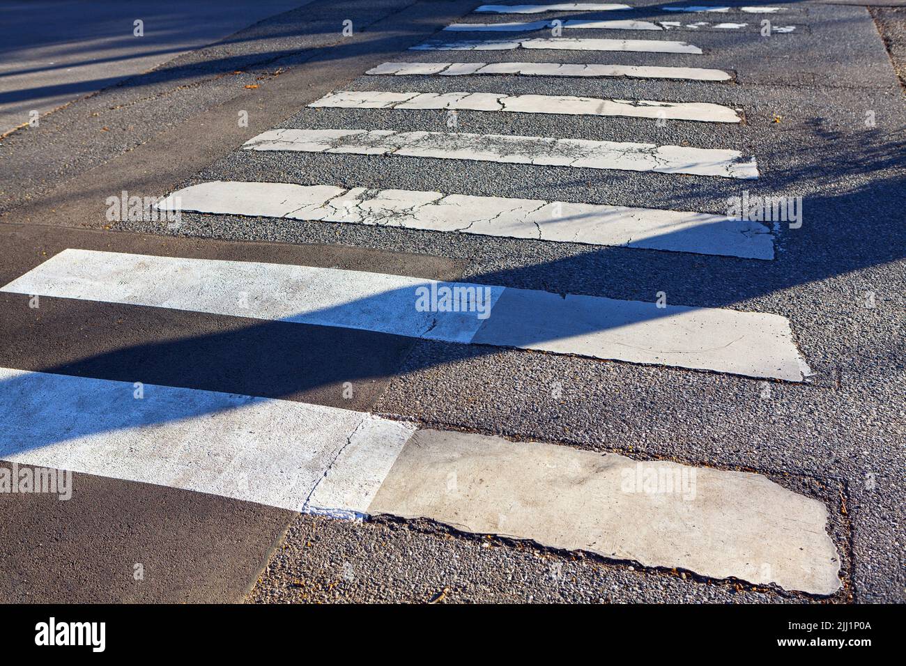Pedestrian crossing marking . Urban asphalt street . Shadows on the ...