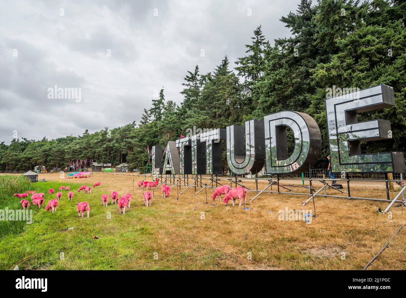 Henham Park, Suffolk, UK. 22nd July, 2022. Pink sheep and Latitude sign ...