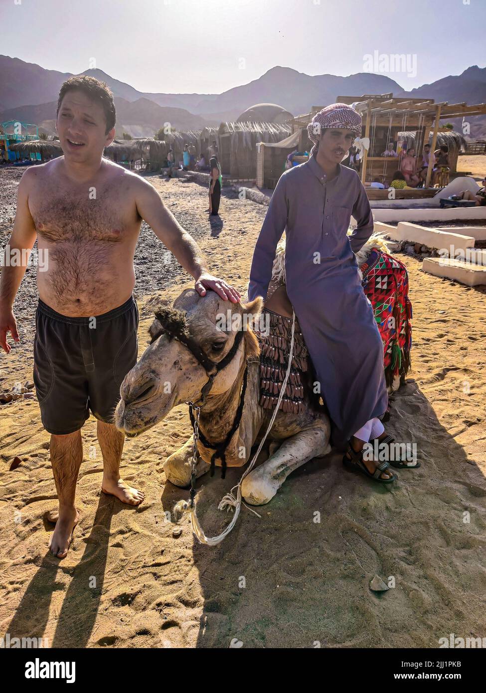 Bedouin Man standing beside his Camel on the seashore of Rashitan, Sinai, Egypt Stock Photo - Alamy