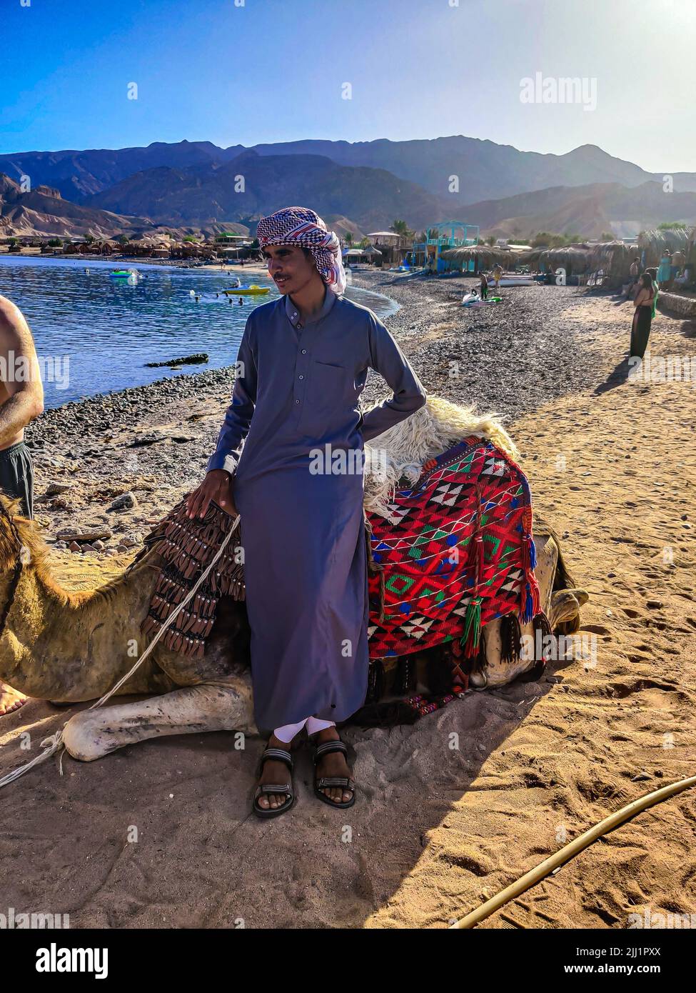 Bedouin Man standing beside his Camel on the seashore of Rashitan ...