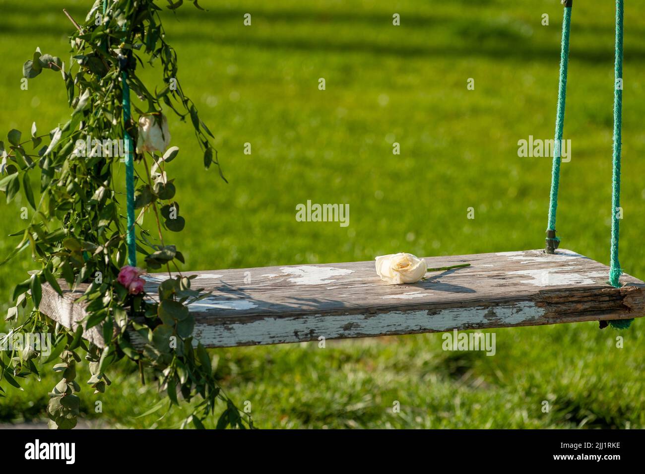 Hanging rose hi-res stock photography and images - Alamy