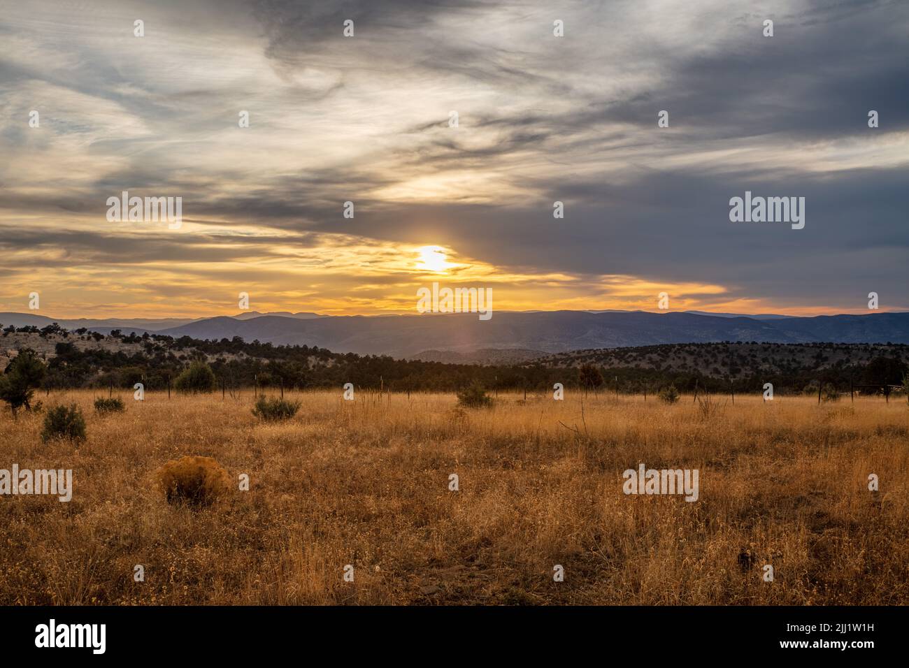 A view of the golden field at the beautiful sunset Stock Photo - Alamy