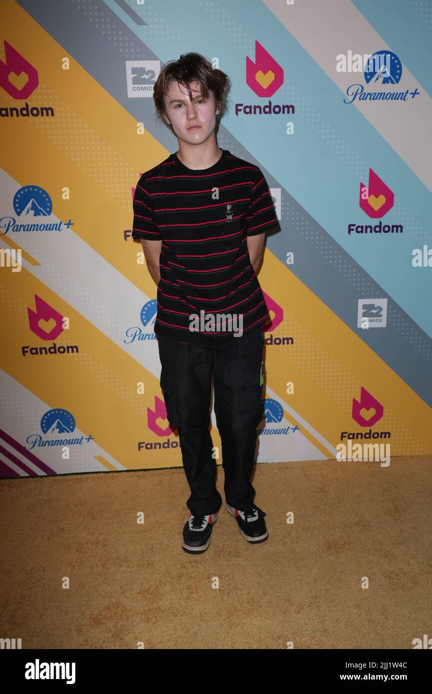 Kiefer 2022 hi-res stock photography and images - Alamy