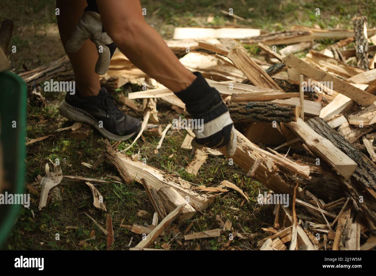 Picking firewood hi-res stock photography and images - Alamy
