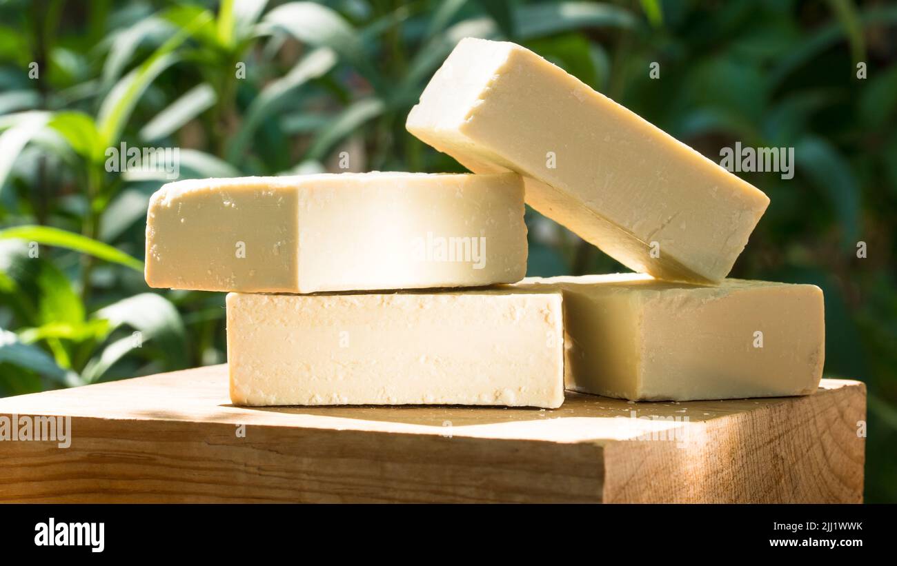 Natural Olive oil soap. Organic handmade soap bars with olive branch ...