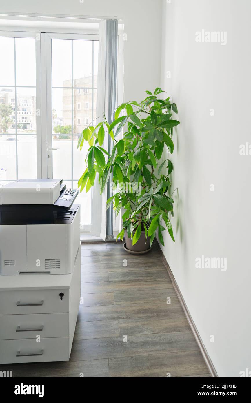 Contemporary office with green houseplant on white background for ...