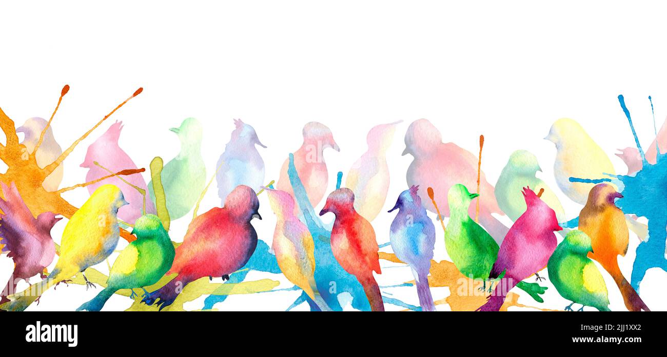 Colorful birds silhouette banner watercolor illustration white ...