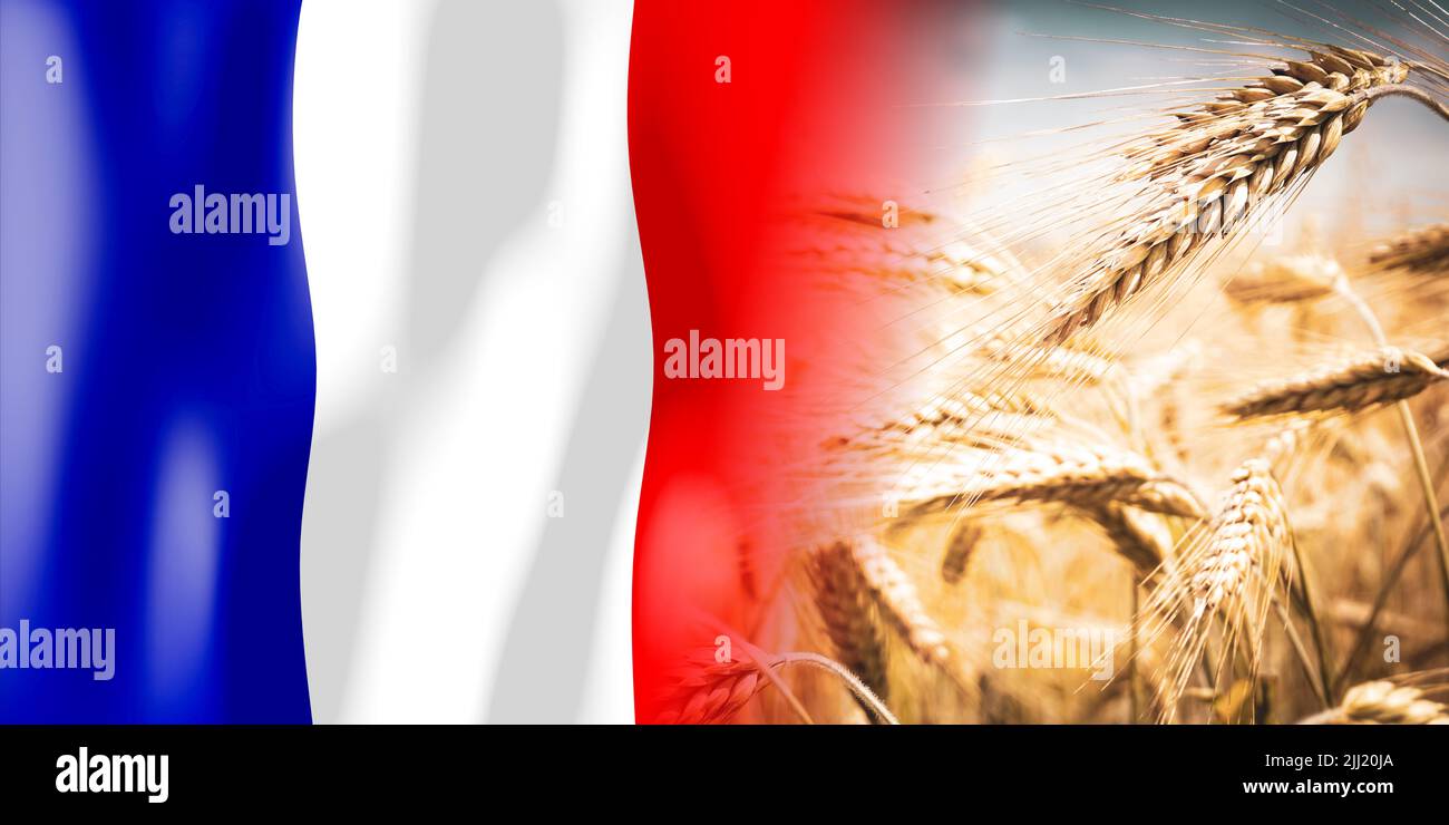 France - flag and ripe rye field - crops, cereal, harvest concept Stock ...