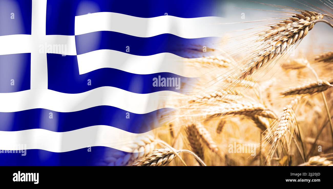 Greece - flag and ripe rye field - crops, cereal, harvest concept Stock ...