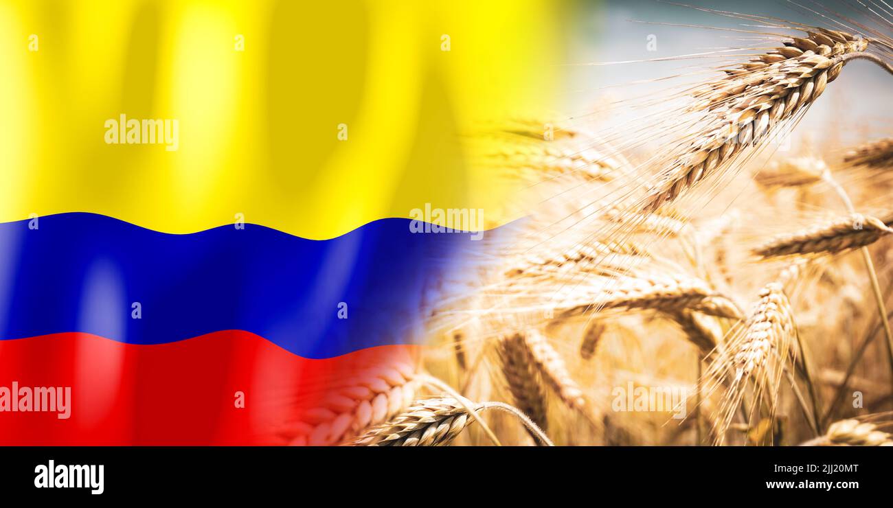 Colombia - flag and ripe rye field - crops, cereal, harvest concept ...