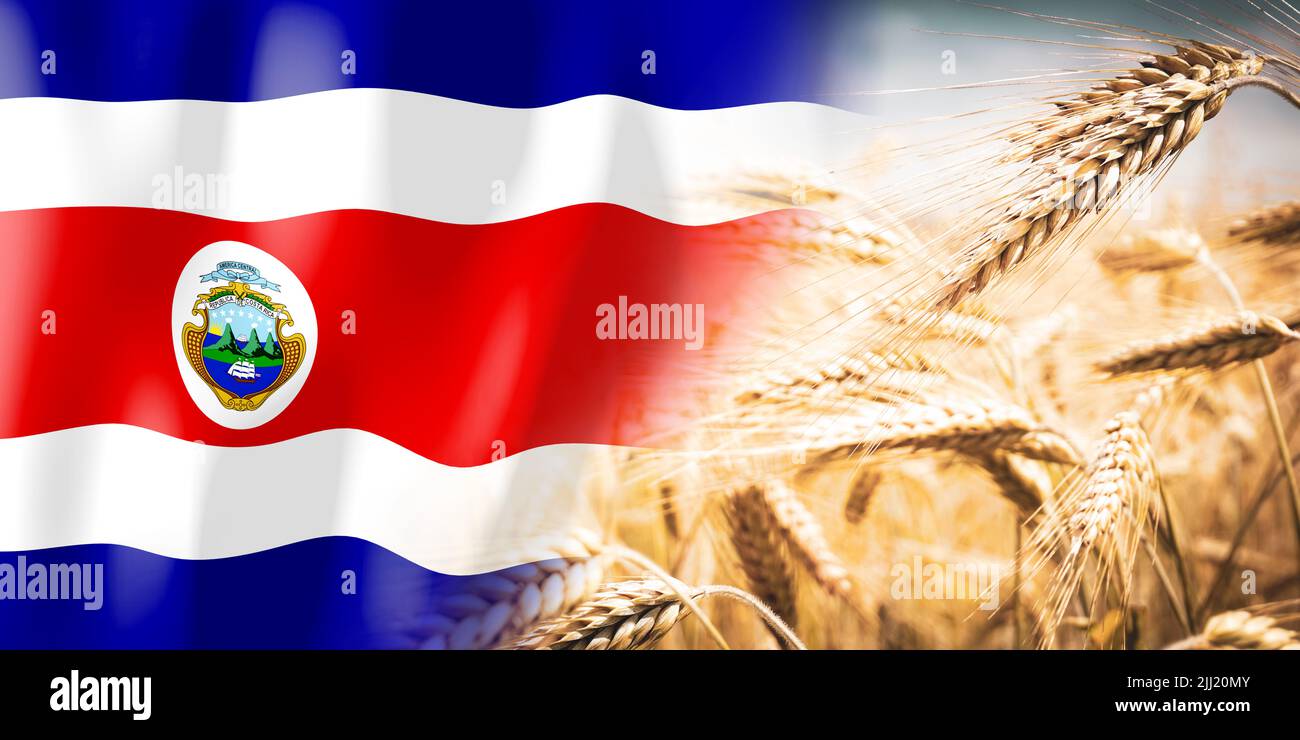 Costa Rica - flag and ripe rye field - crops, cereal, harvest concept ...