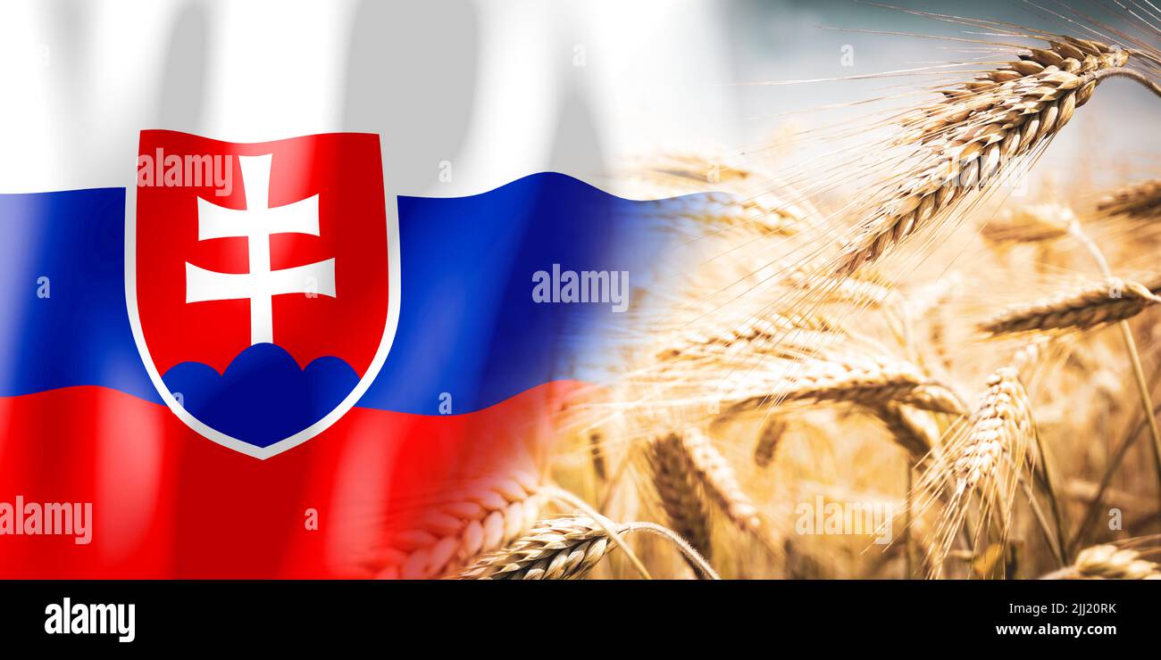 Slovakia wheat hi-res stock photography and images - Alamy