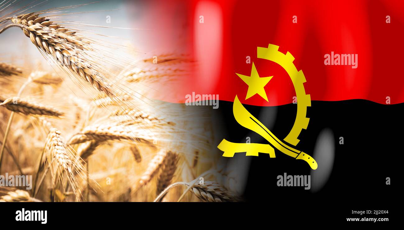 Angola - flag and ripe rye field - crops, cereal, harvest concept Stock ...