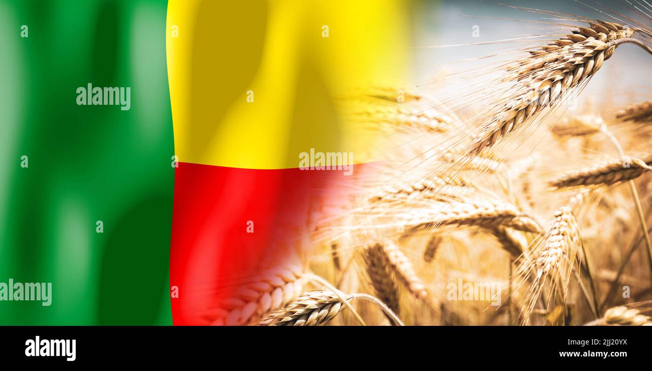 Benin - flag and ripe rye field - crops, cereal, harvest concept Stock ...