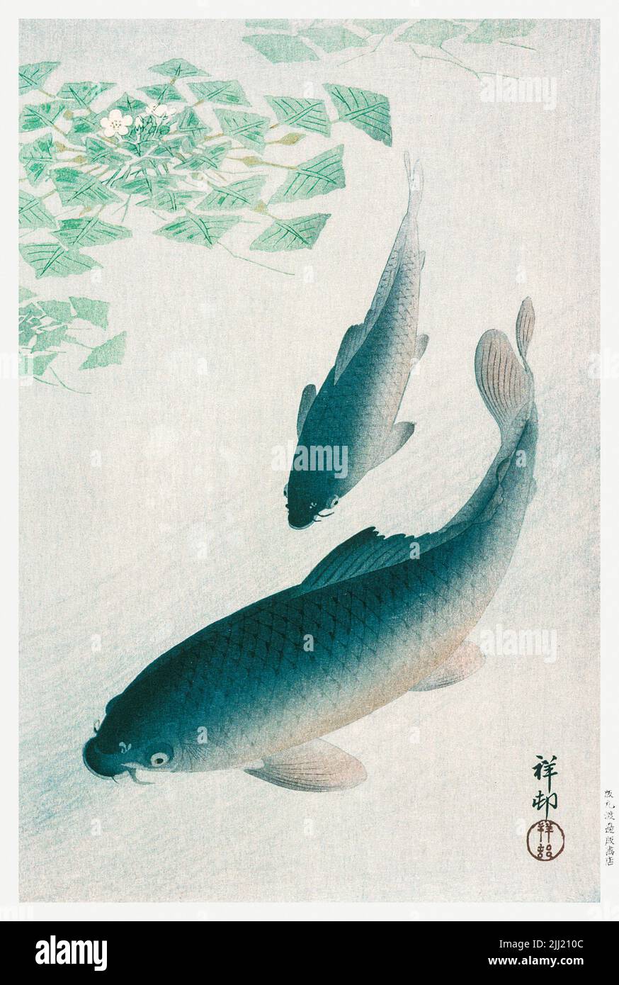 Ohara koson koi hi-res stock photography and images - Alamy