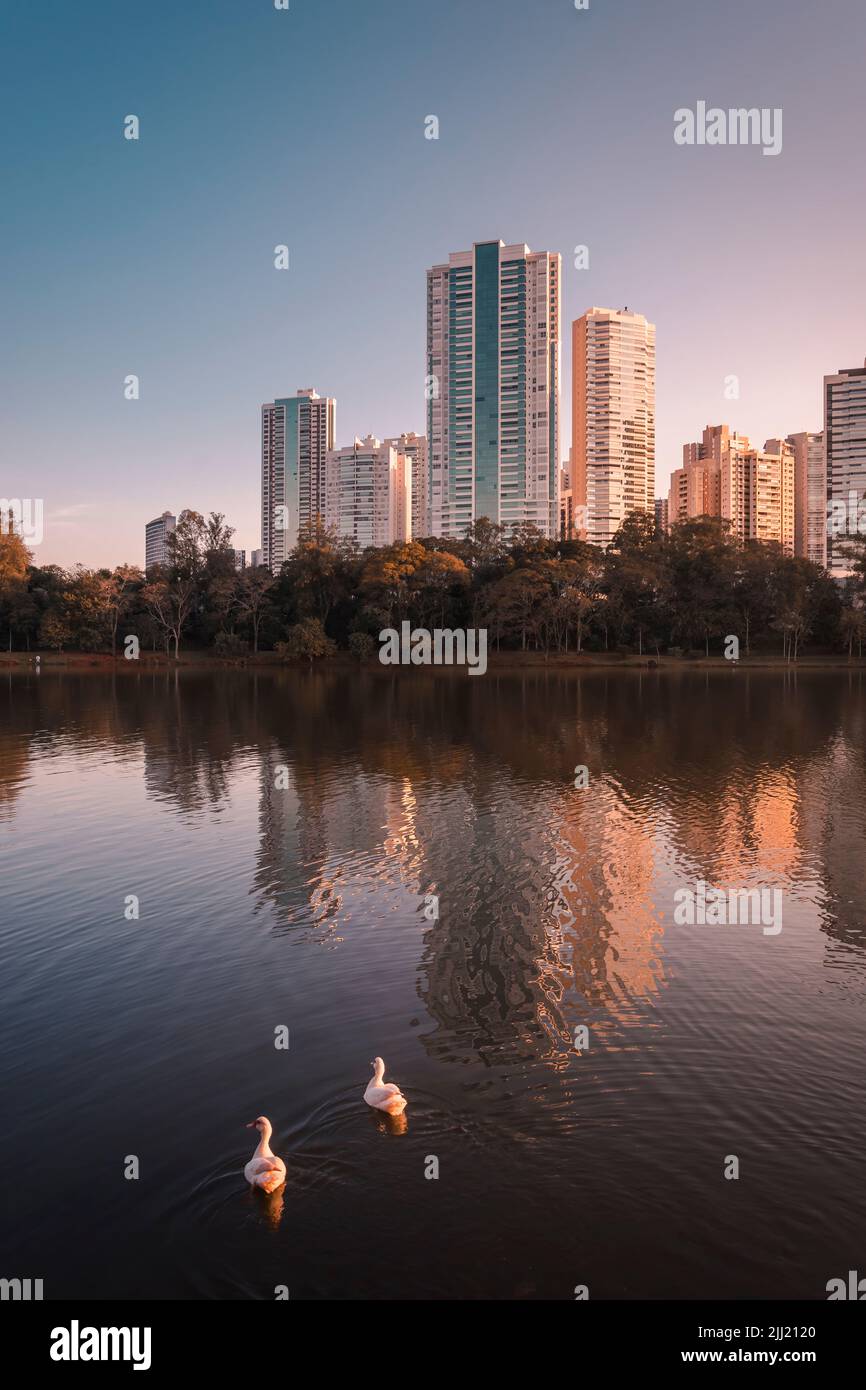 Detail of the Igapó lake in the city of Londrina, southern Brazil, with ...