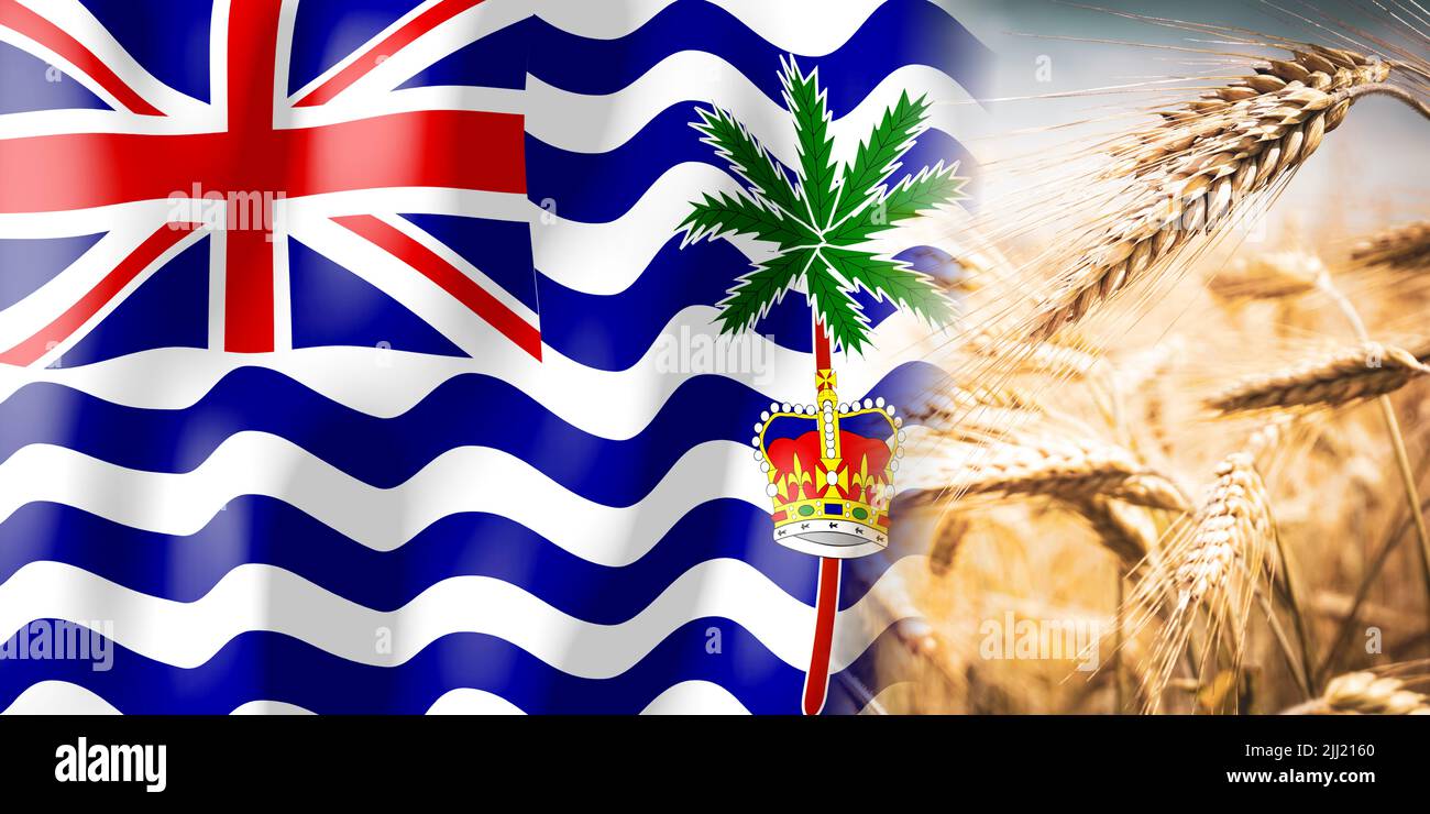 British Indian Ocean Territory - flag and ripe rye field - crops ...